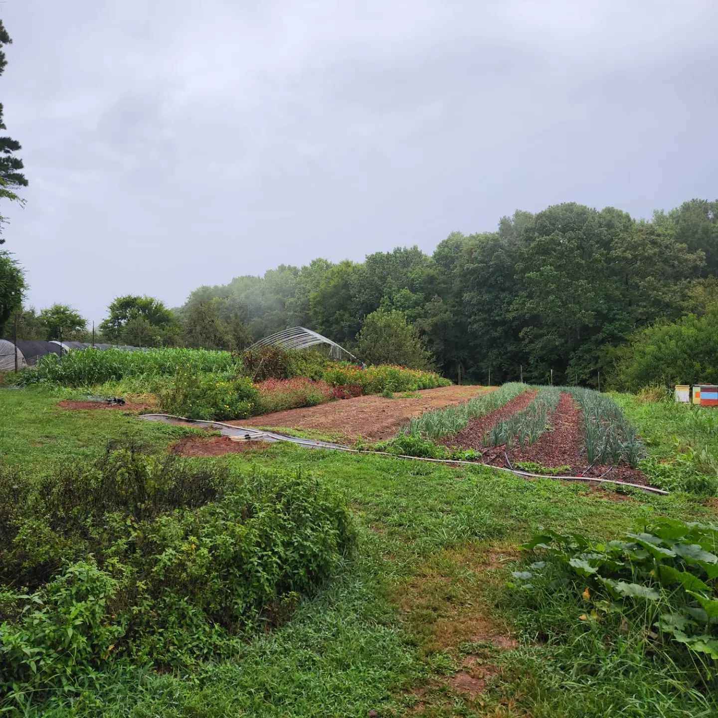 About – In Good Heart Farm